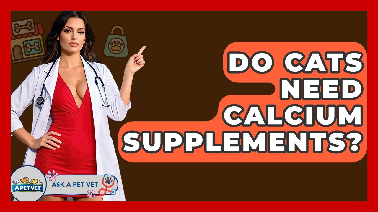 Do Cats Need Calcium Supplements? - Ask A Pet Vet - YouTube