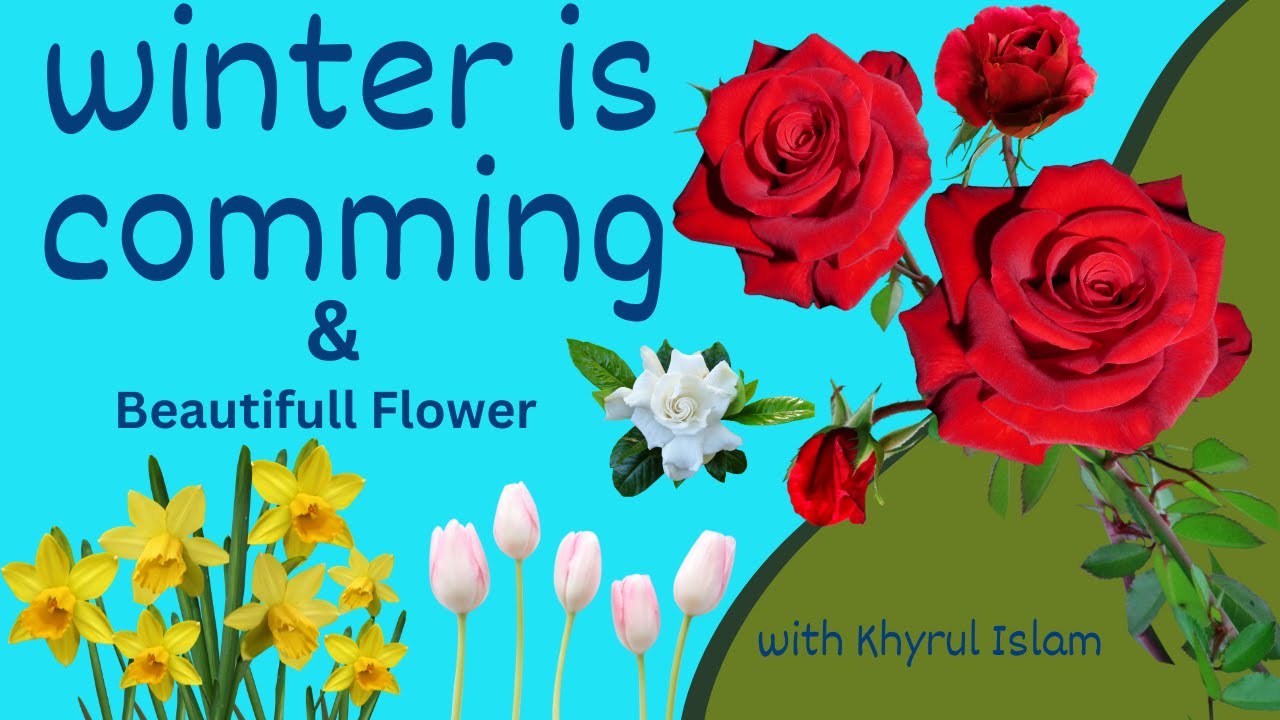 Winter is Coming, Embrace the Beautiful Flowers in the Chill Season ...