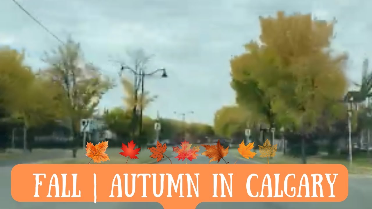 FALL | AUTUMN IN CALGARY #fall #autumn - YouTube