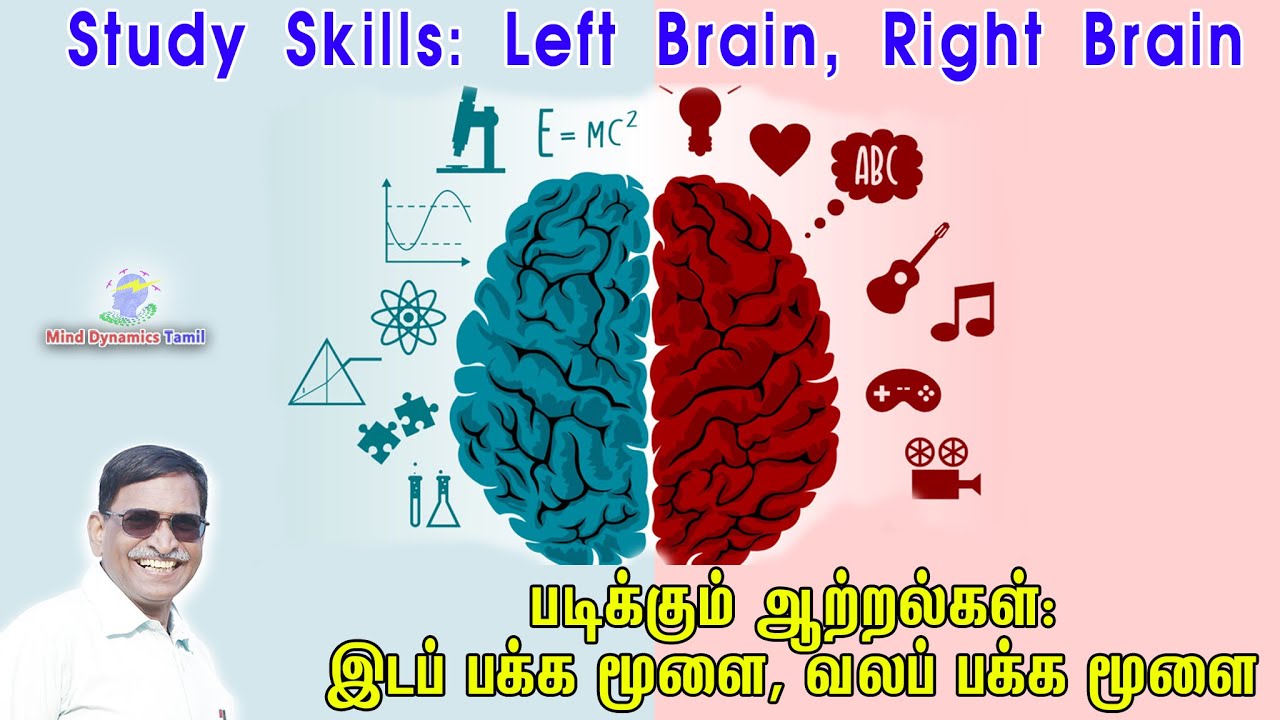 Left brain, Right brain in Tamil | Study Skills | Mind Dynamics Tamil ...