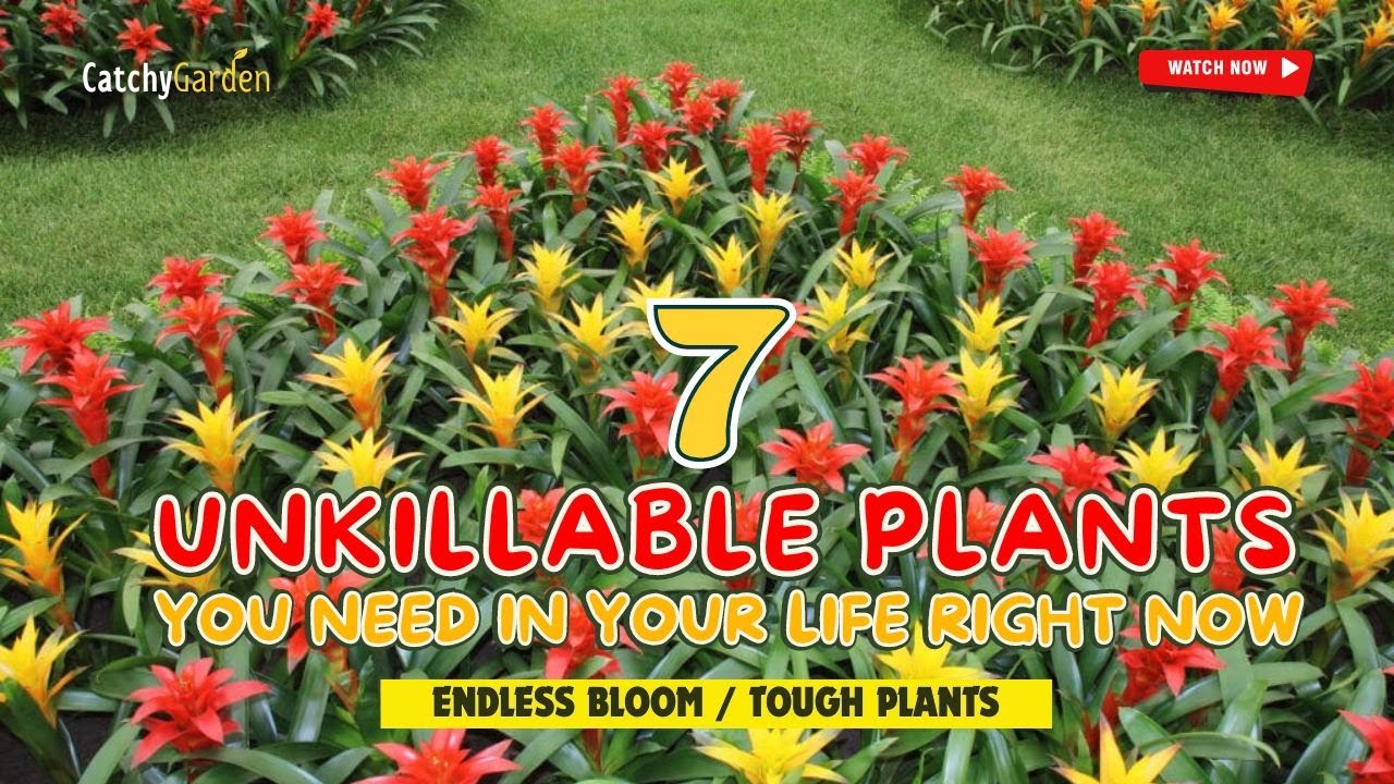 🔥 TOP 7 UNKILLABLE PLANTS YOU NEED IN YOUR LIFE RIGHT NOW! 🌿🌸 ...