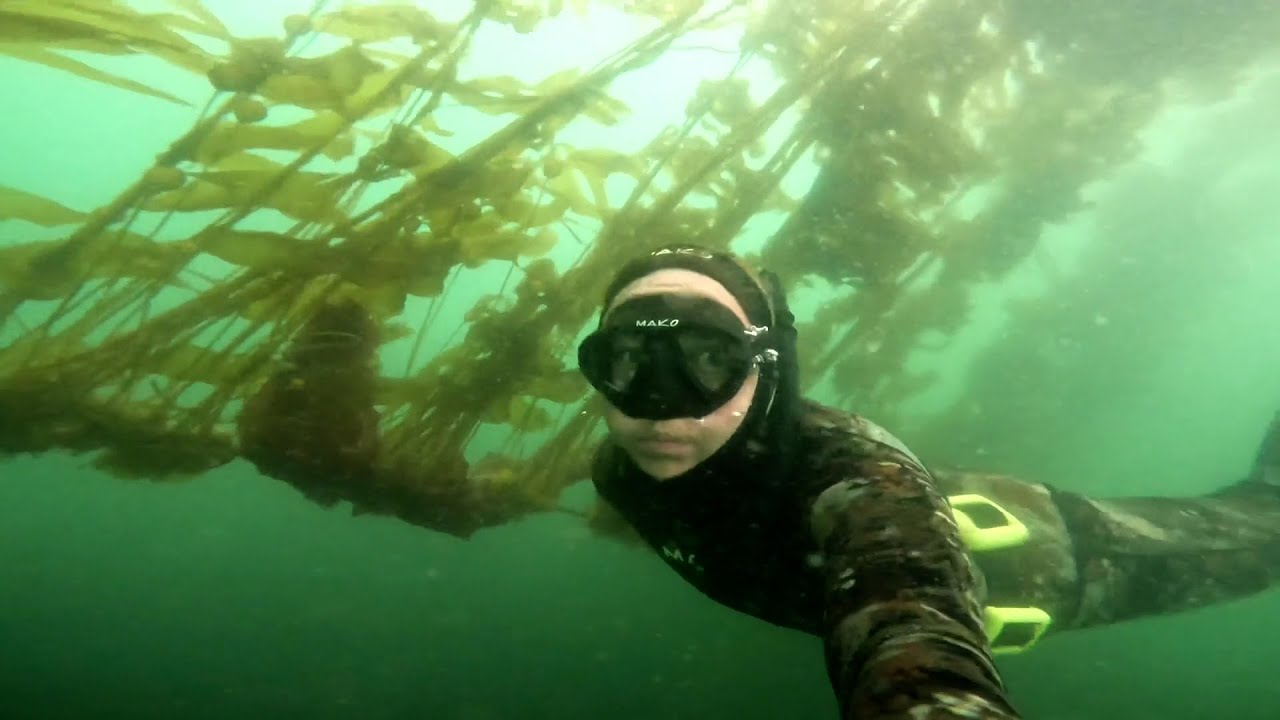 CityStream: Restoring the Kelp Forests of Puget Sound - YouTube