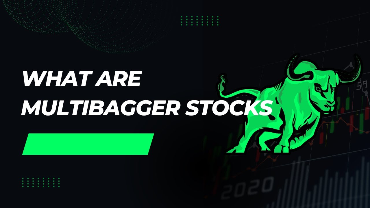 What Are Multibaggers Stocks? and How to find them - YouTube