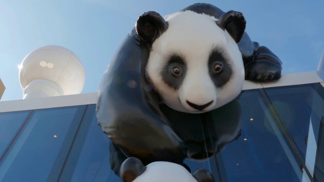 Panda Pandemonium On Ovation - YouTube