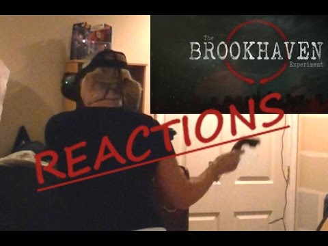 REACTIONS TO THE BROOKHAVEN EXPERIMENT - MY FAMILY - VR HTC VIVE | The ...
