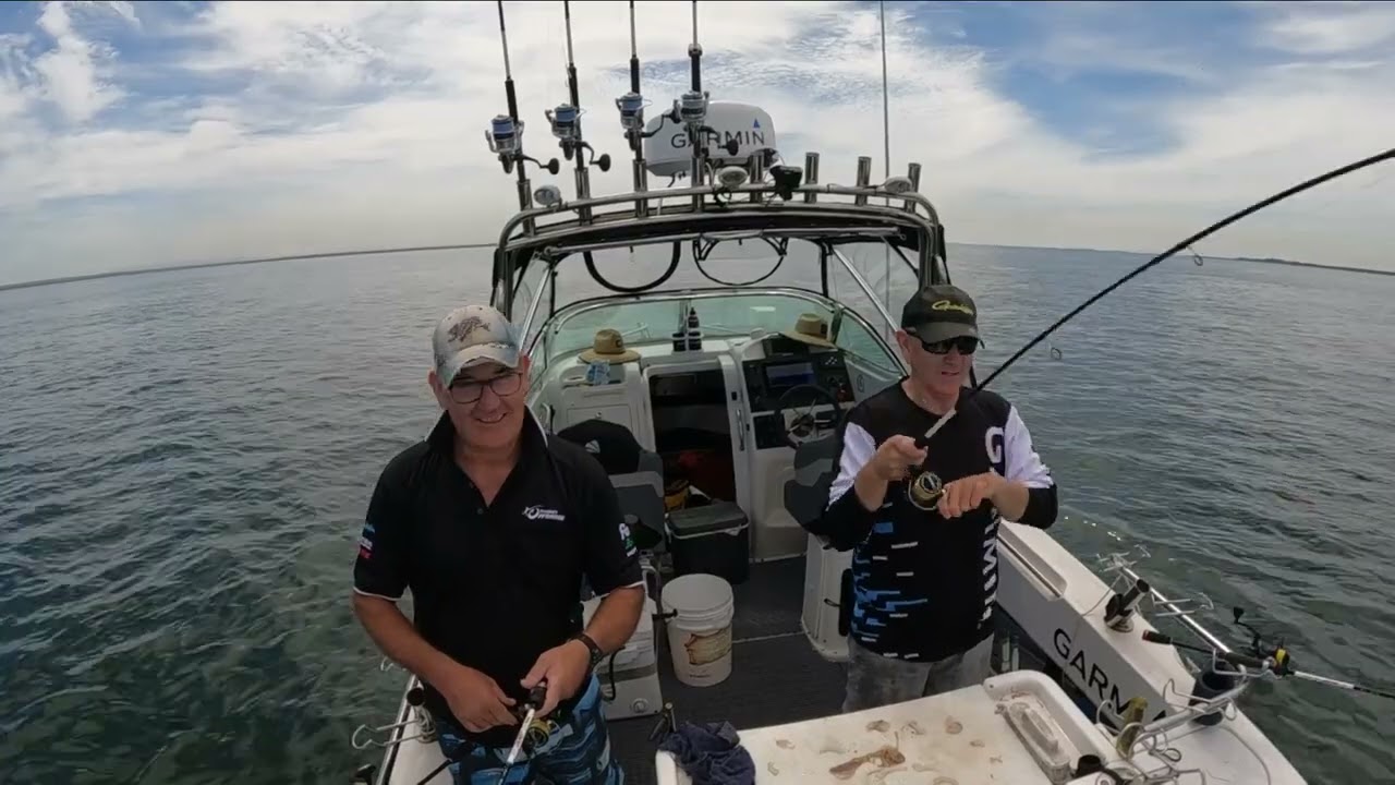 Whiting are so exciting - YouTube