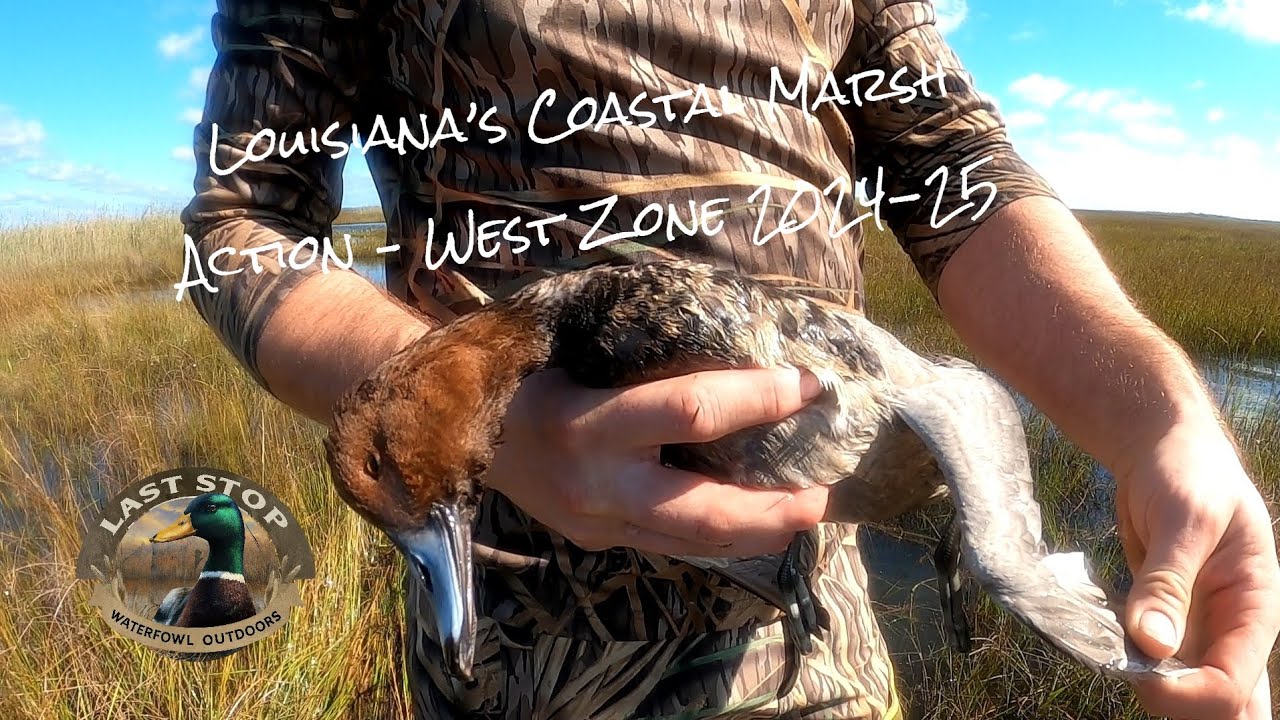 Kicking Off Duck Season in the Louisiana Marsh! | Public Land Hunt with ...