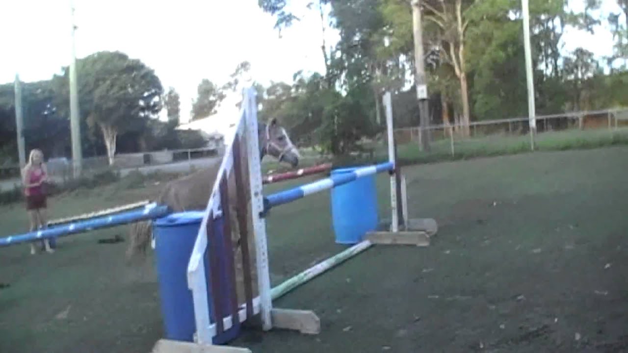 Free Jumping Rosey *Small Pony Jumping 1m!* - YouTube