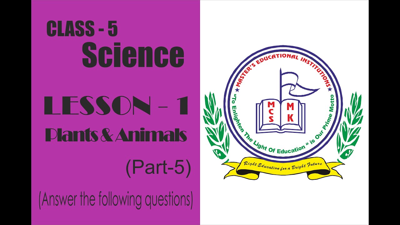CLASS 5 Science LESSON 1 PART 5 Answer The Following Questions class-5-science-lesson-1-part-5-answer-the-following-questions
