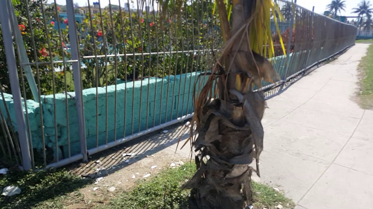 Rotonda de Guanabo Bocaciega Havana Cuba - YouTube