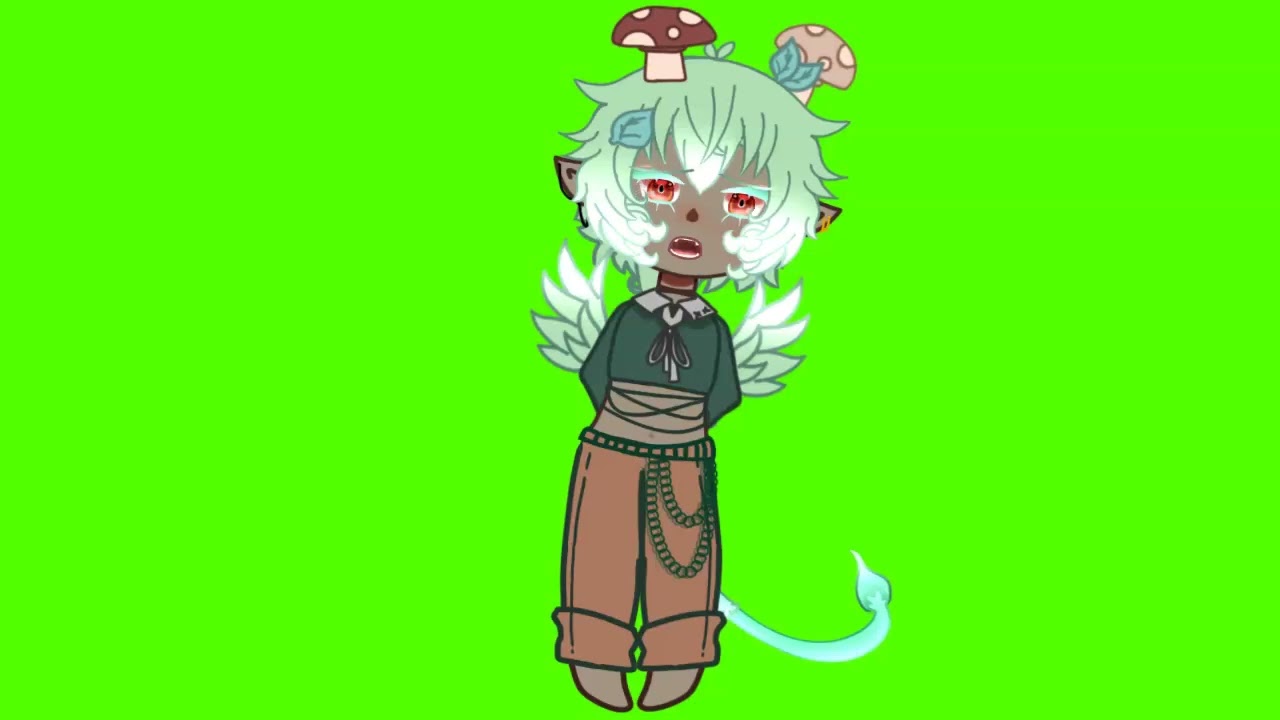 Front facing rig thingy - YouTube