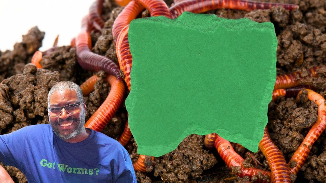 Do Worms Eat Construction Paper? - YouTube