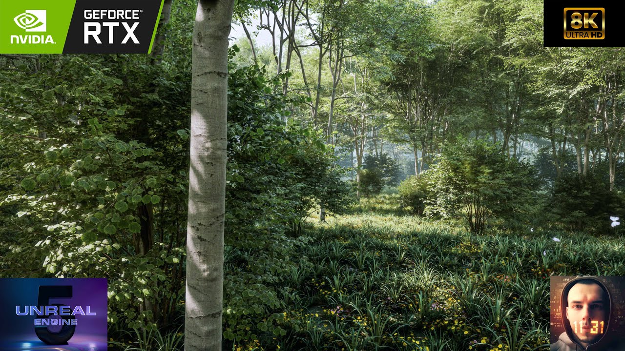 [8K60FPS] Epic Realism: A Walk Through a Living Forest | Unreal Engine ...