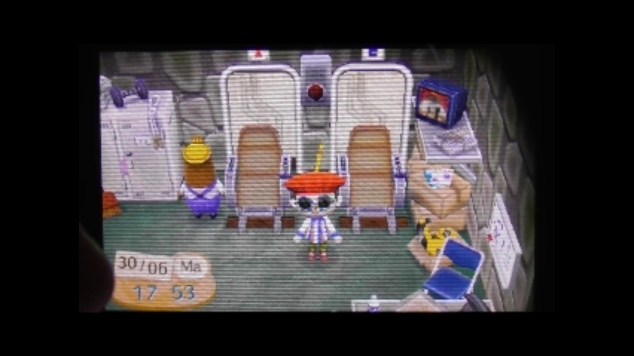 Comment avoir les plugins Vapecord et le NTR Cheat de Rydoginator sur la New Nintendo 3DS ...