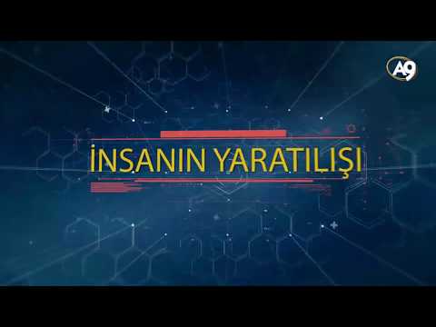 Dünyanın En Kompleks İnşa Süreci: İnsanın Yaratılışı - 1080p HD Belgesel