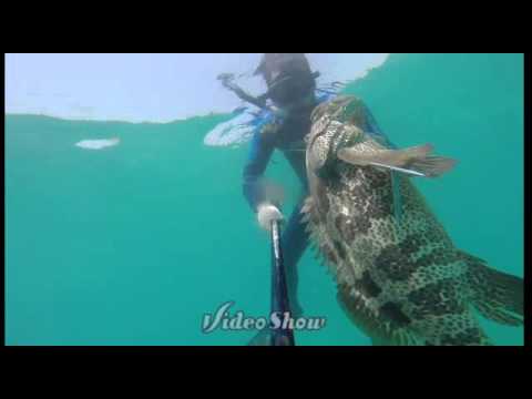 Spearfishing Grouper - Qatar AL Yousif - YouTube