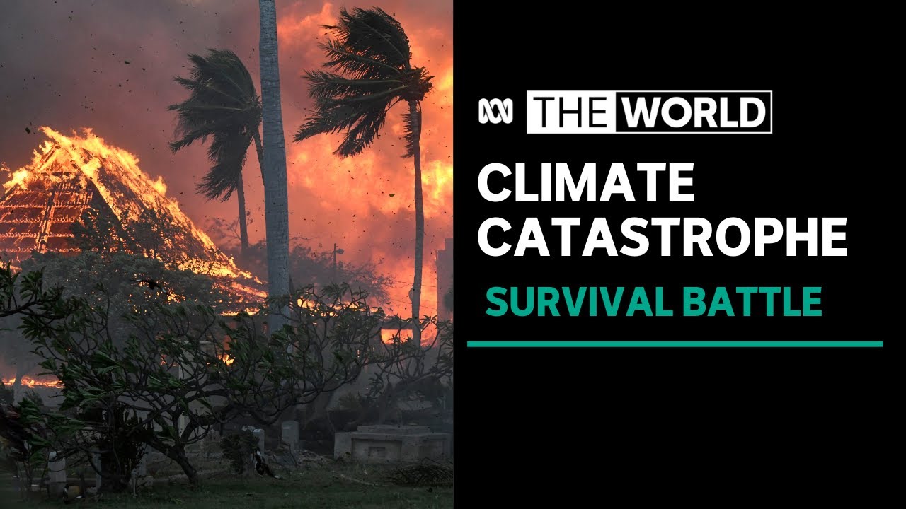 Floods, fires and natural disasters | The World in 2023 - YouTube