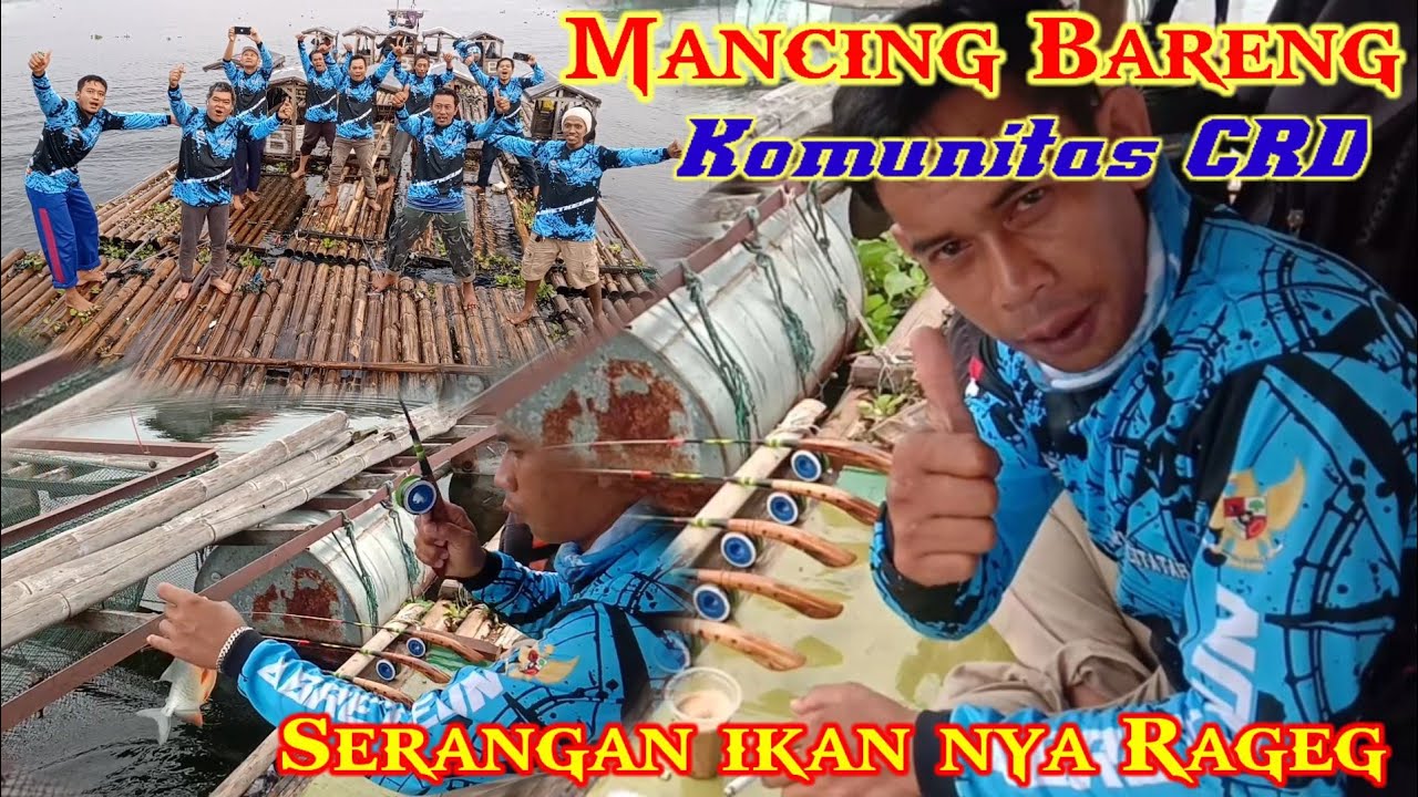 MANCING BARENG KOMUNITAS CRD SERANGAN IKAN NYA RAGEG || MANCING KJA ...