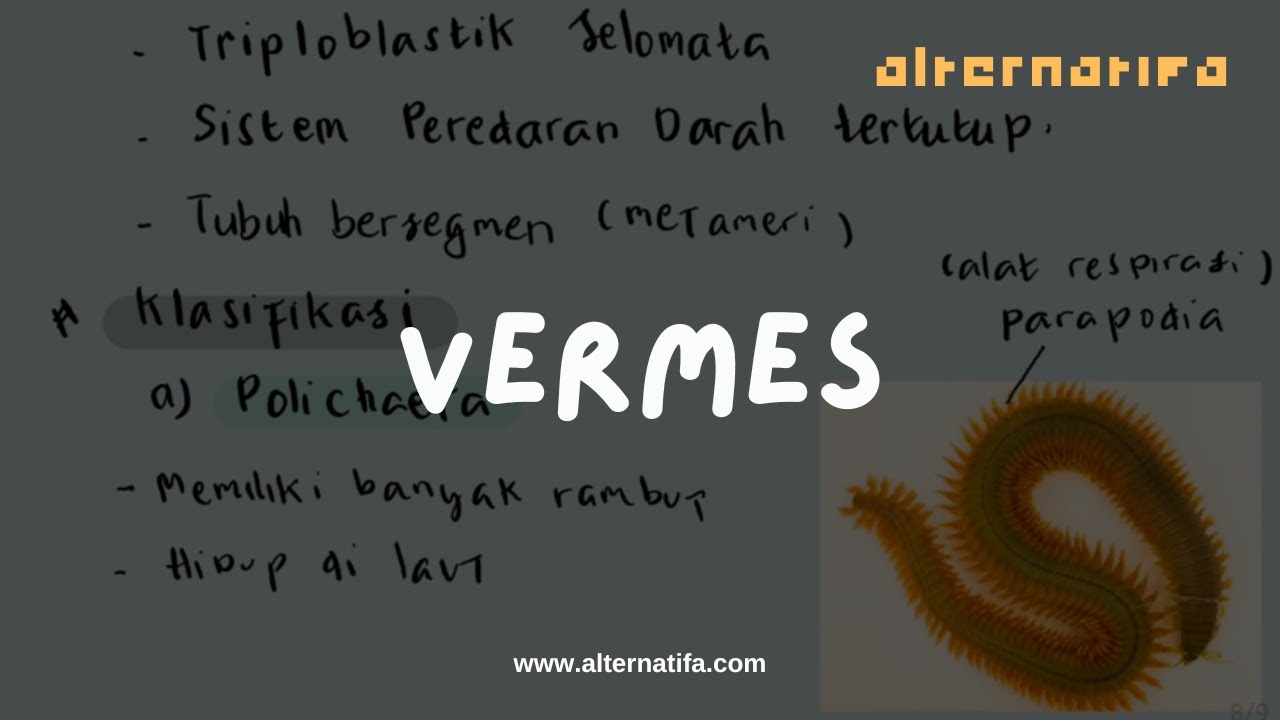 Kingdom Animalia: Vermes 2 | Biologi | Alternatifa - YouTube