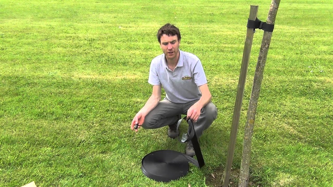 Tree Strapping Belt - YouTube