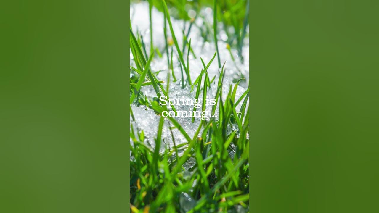 Spring is coming... - YouTube