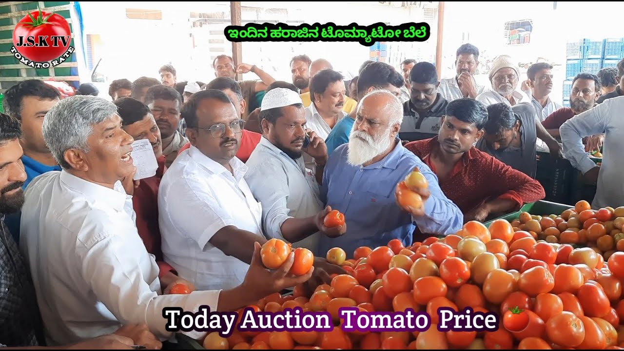 Tomato Price Today | live_auction_tomato_price| ಟೊಮೆಟೊ ಬೆಲೆ - YouTube