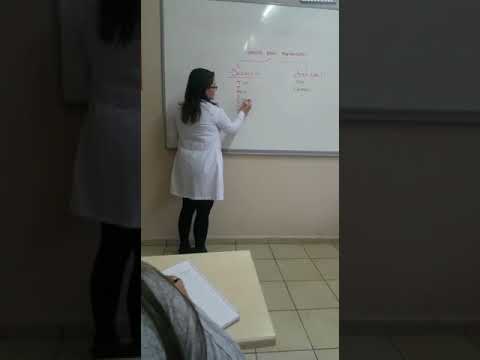 VID 20181016 WA0007