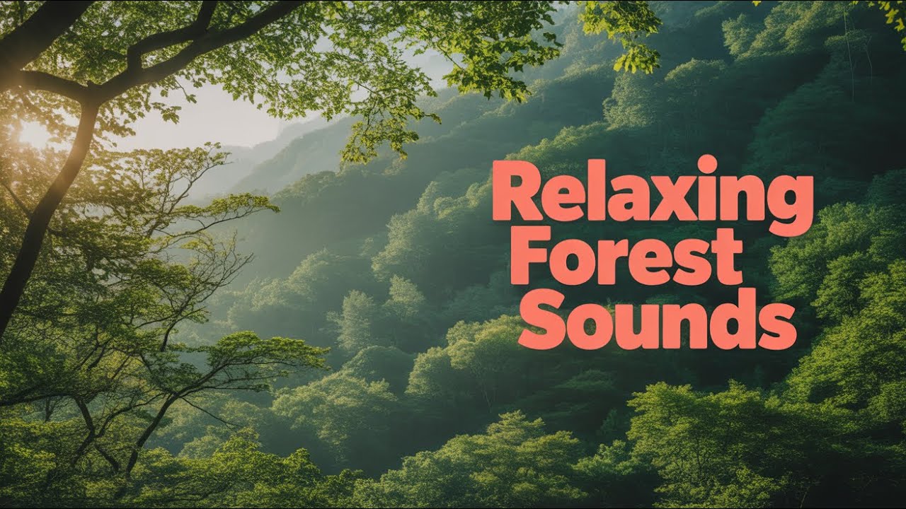 Forest sounds nature sound for sleep and relaxation - YouTube