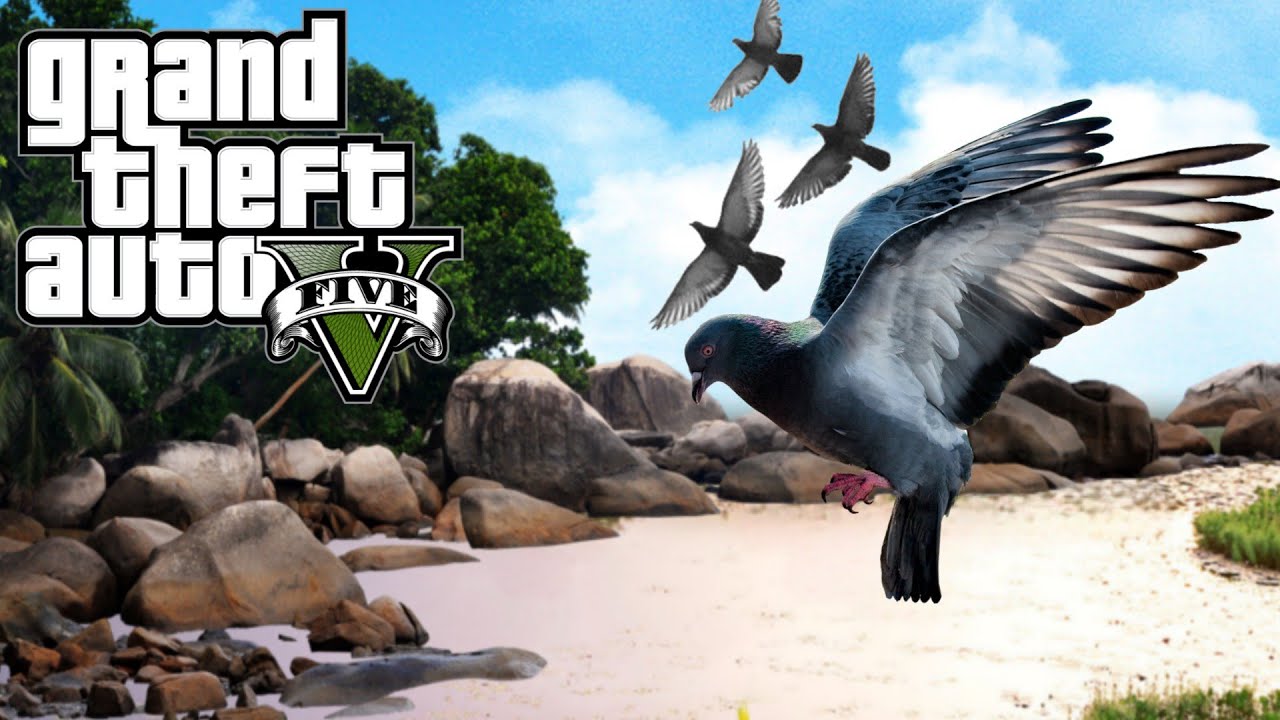 Flying Pigeon Animal Character Location in GTA 5 - YouTube
