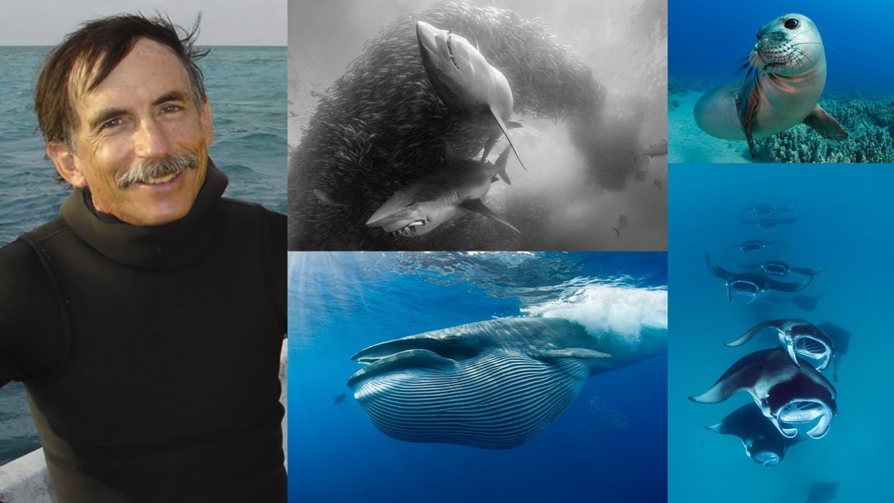 Doug Perrine | Legend and Award Winning Wildlife Photographer | The ...