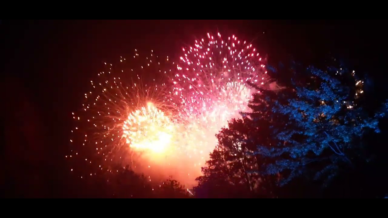 electric forest fireworks - YouTube