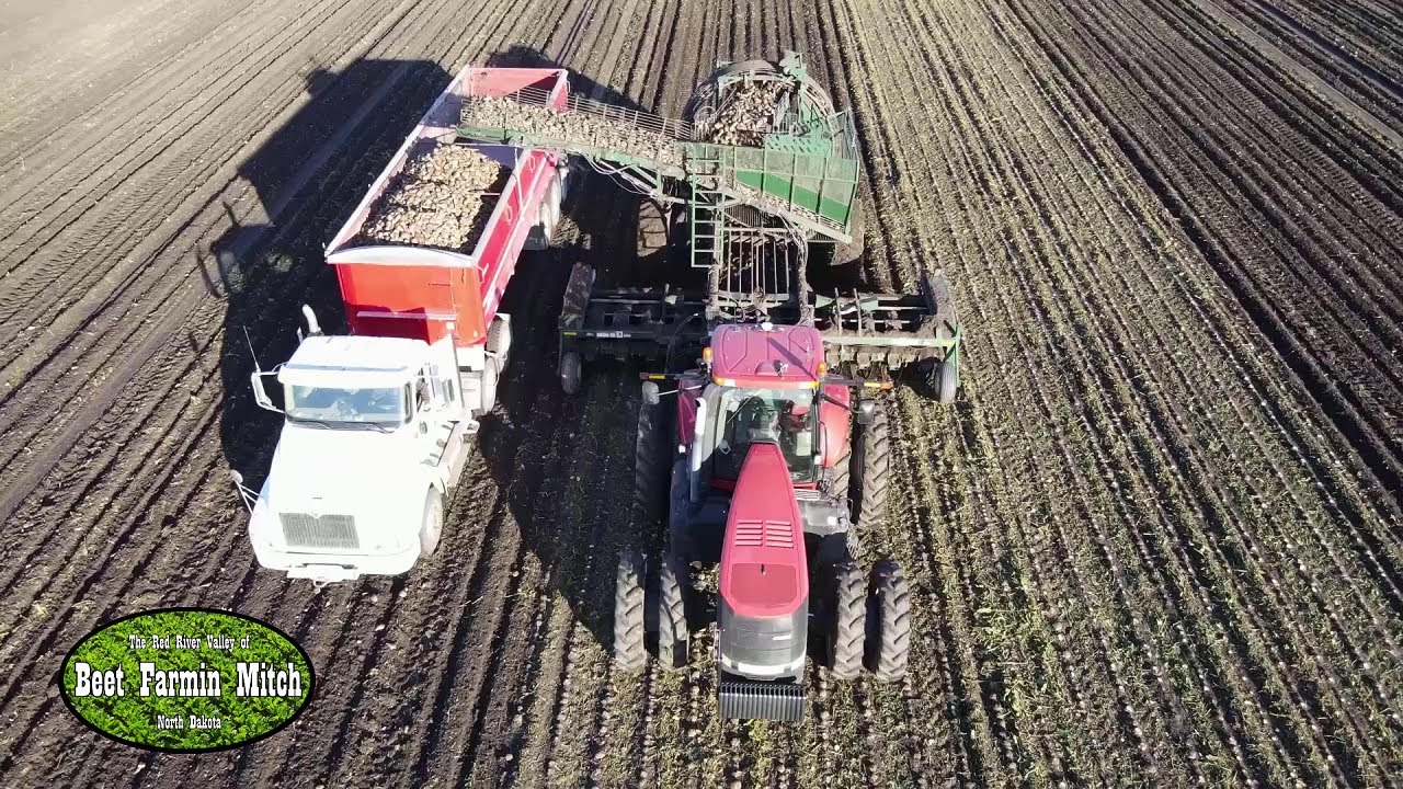 What Do Sugar Beet Farmers Do in the Winter? - YouTube