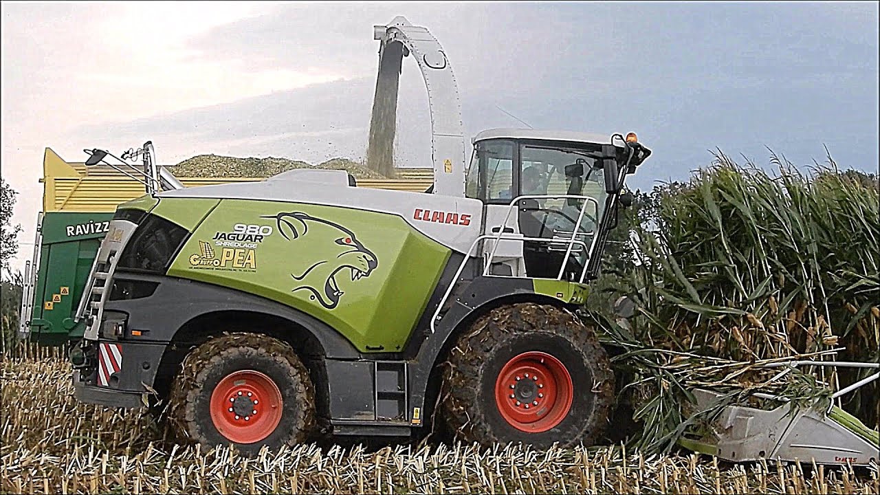 New Claas Jaguar 980 Type 498 SHREDLAGE Special Edition - Gruppo PEA ...