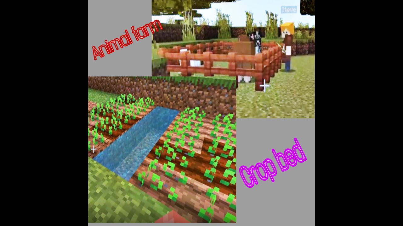 The farm | Minecraft episode 4. - YouTube