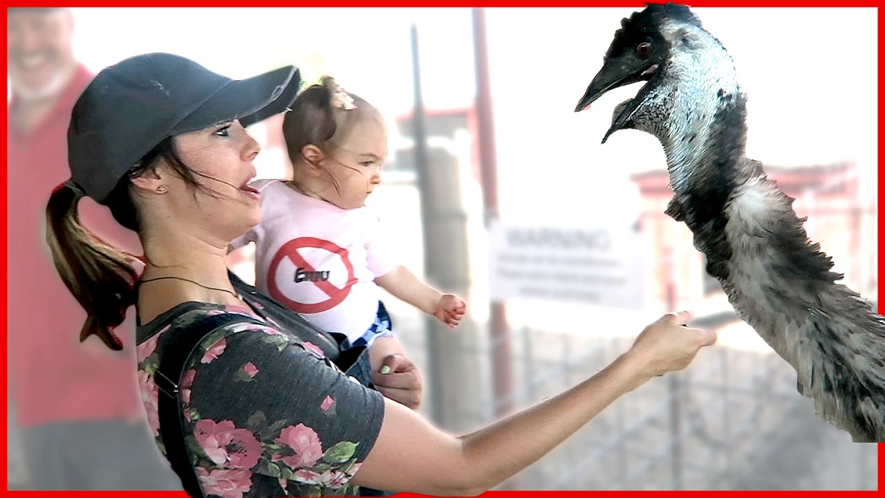 Baby Faces Emu That Attacked Her!! | Sam & Nia - YouTube