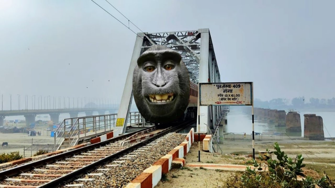 Funny gorilla dance video | Gorilla and train funny video | Funny train ...