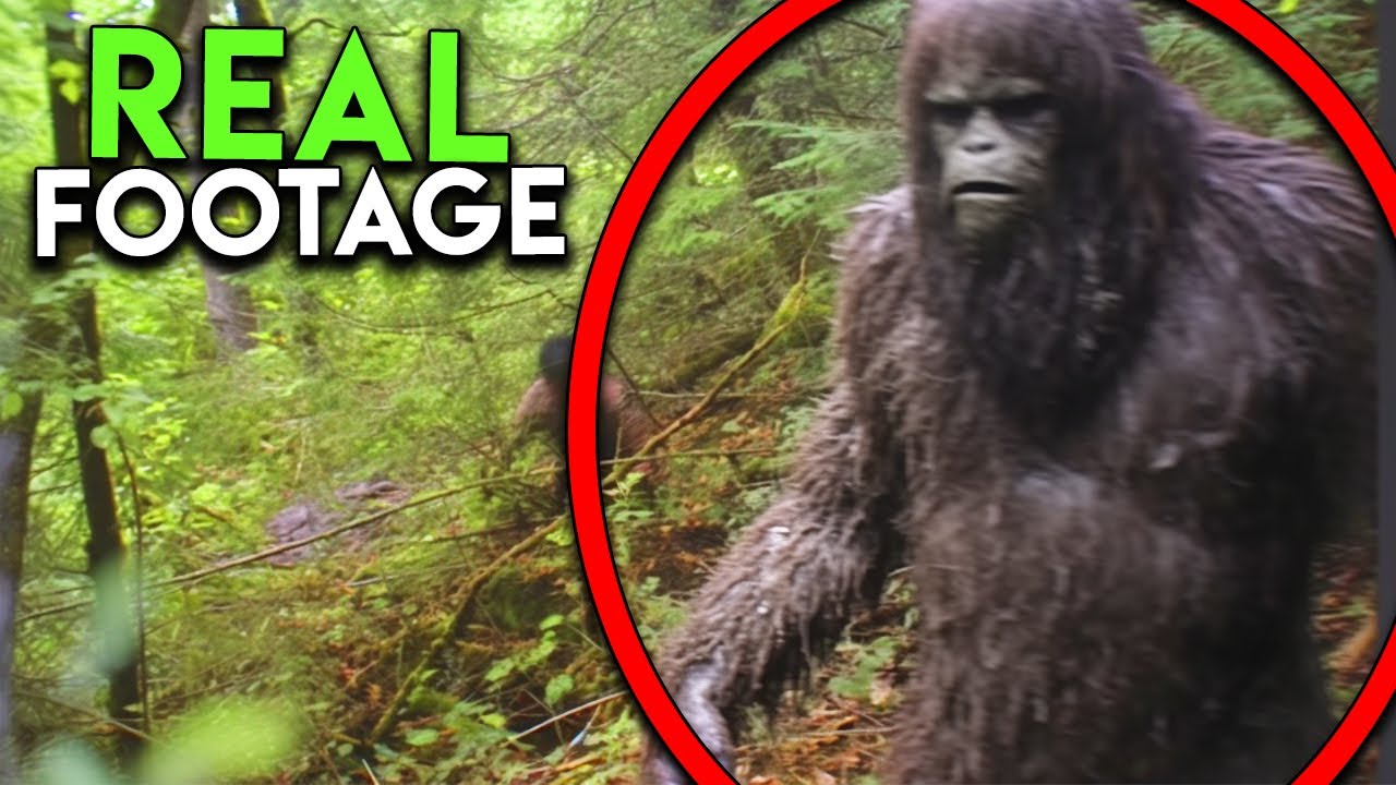 HUGE Disturbing Beast Caught on Trail Cam - YouTube