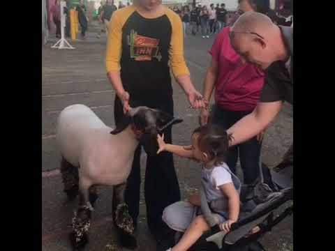 4-H youth in action 2019 Avery Sawyer
