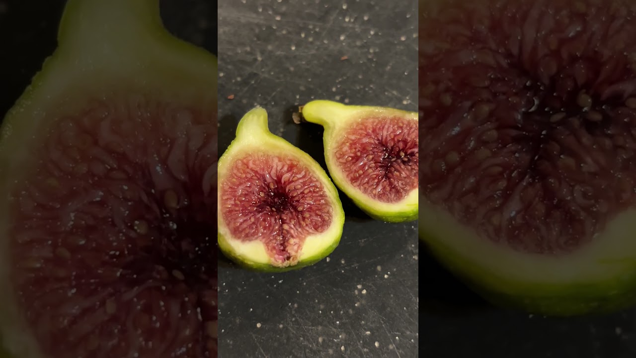 Fig of the Week: Meet the Rare "DFW Kelly Green" Fig in Our Texas ...