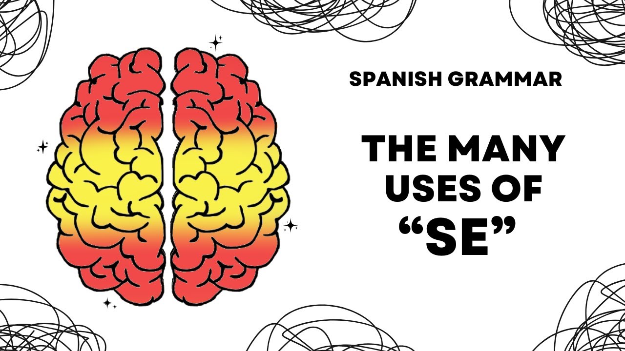 The many uses of SE in Spanish - Easy Guide - YouTube