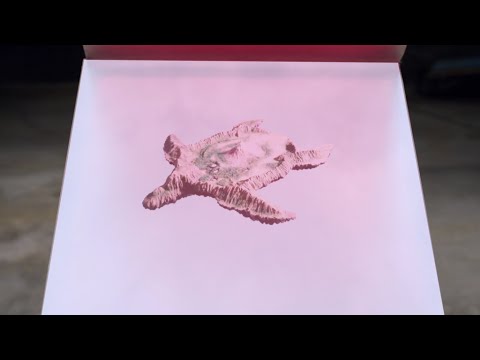 Heading To The Animaria - YouTube