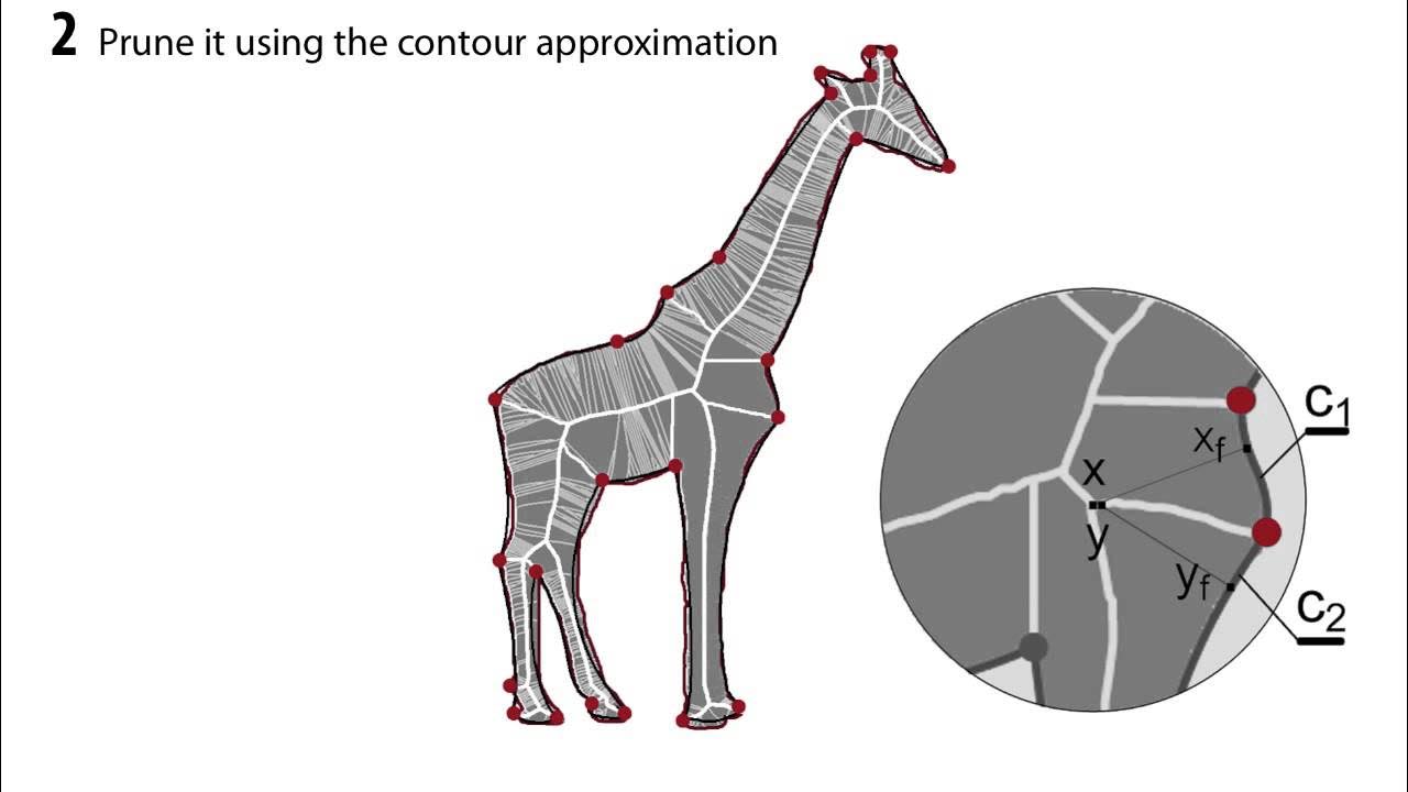 Skeleton prunning by contour approximation and the integer medial axis transform - YouTube