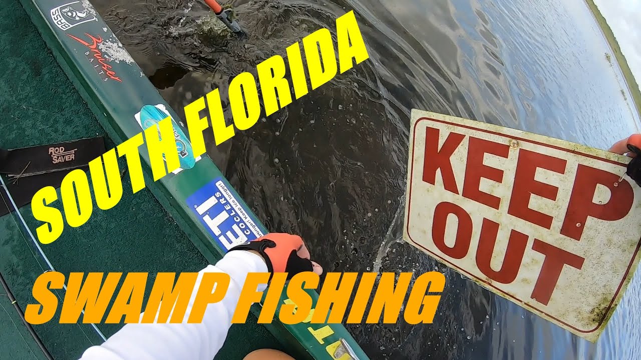 Swamp Fishing for Big Florida Bass - YouTube