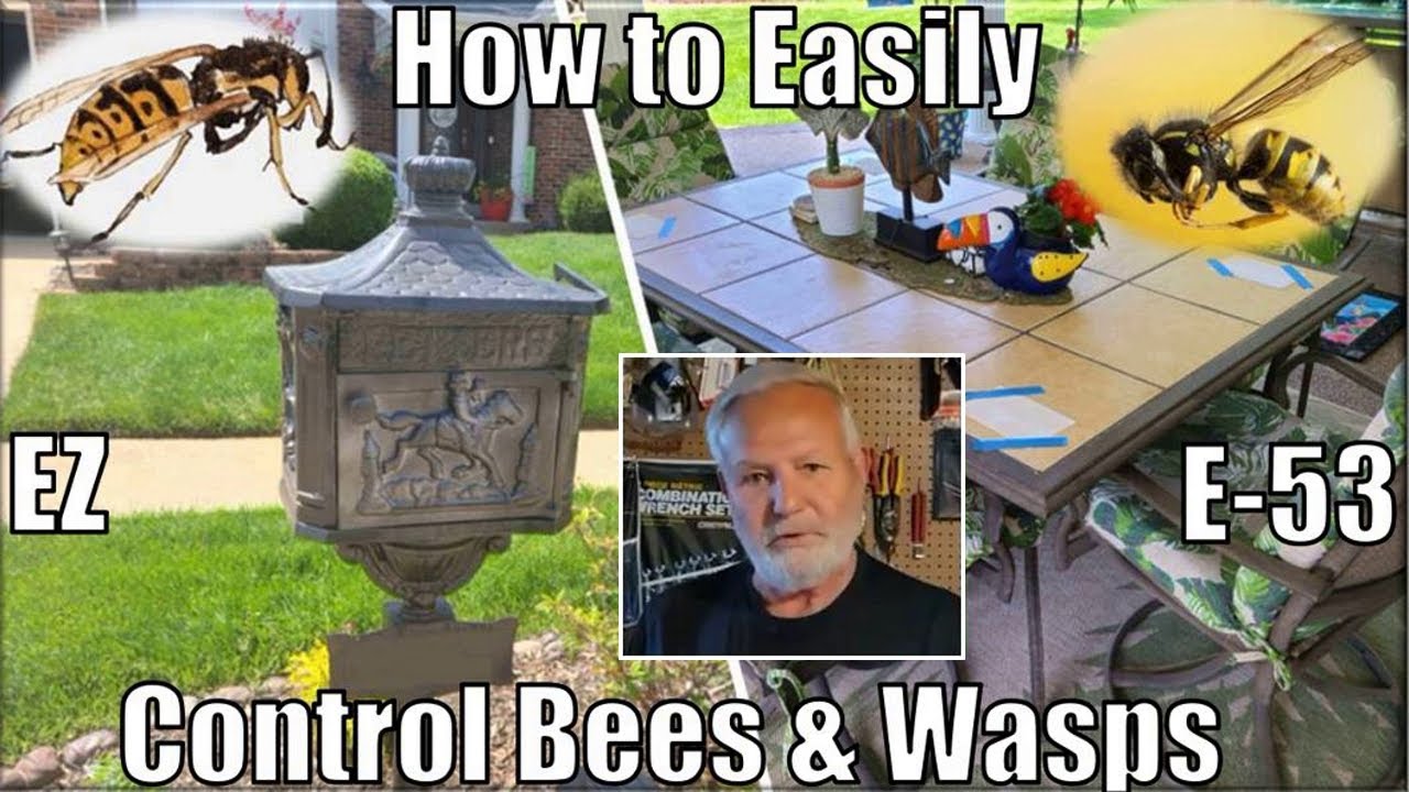 Control Bees and Wasps - YouTube