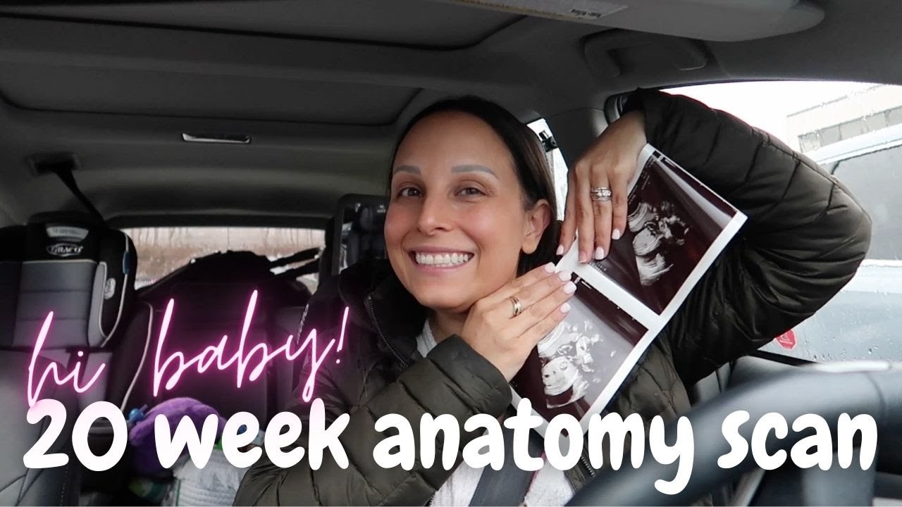 time-for-the-anatomy-scan-20-weeks-pregnant-youtube