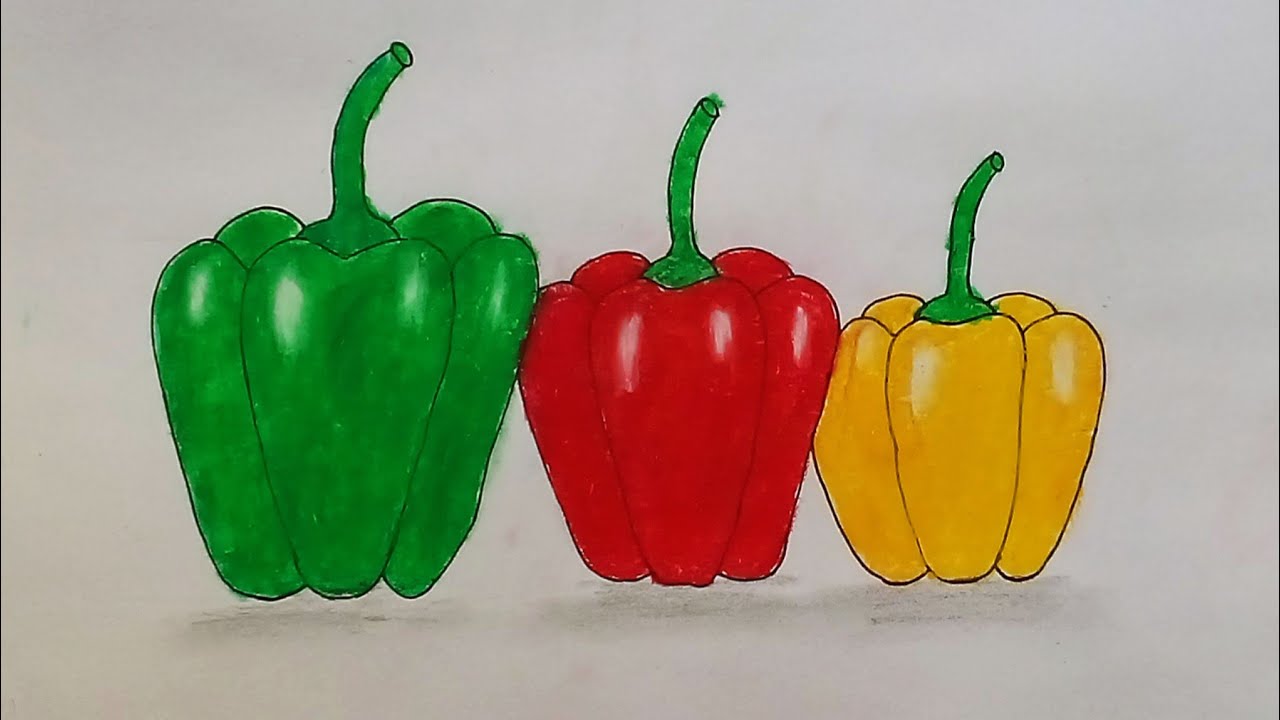 Capsicum drawing easily || capsicum vegetable || step by step drawing ...