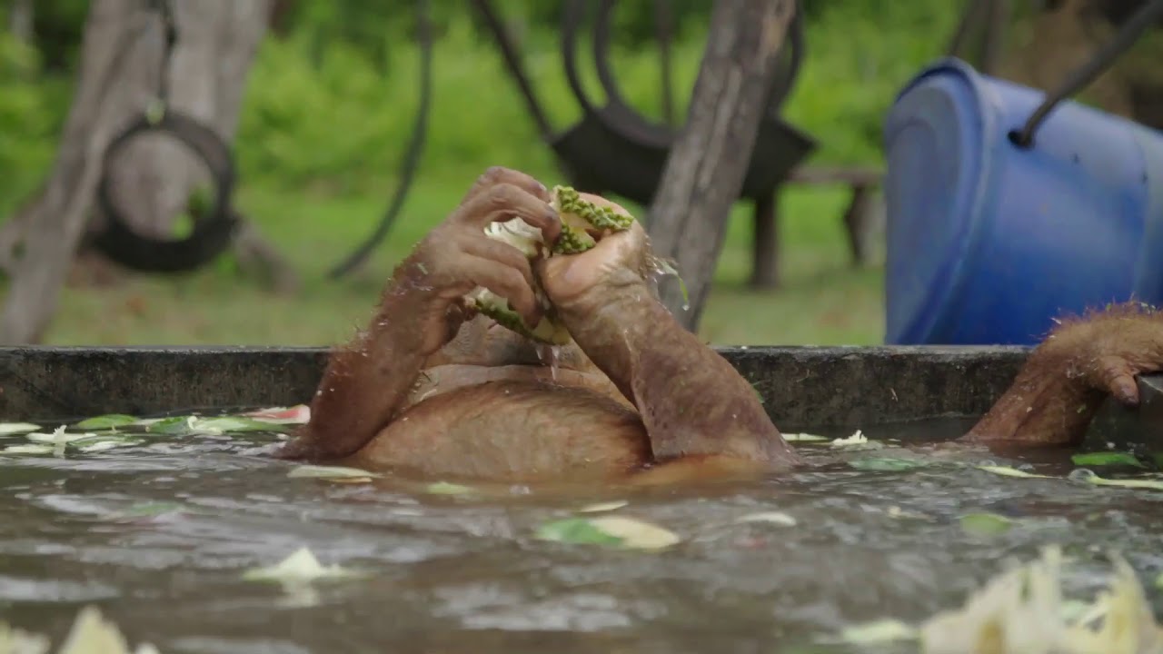 Beni’s ideal bath-time experience - YouTube