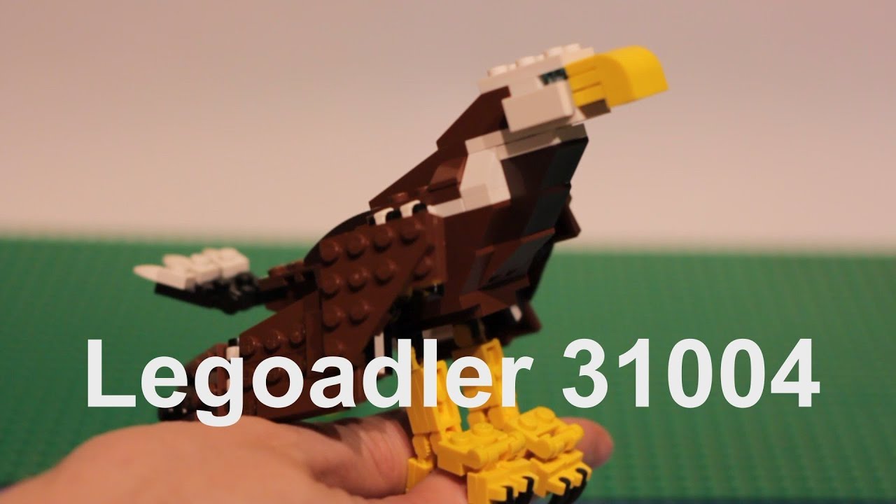 Lego Creator 31004 super Modell eines Weißkopfseeadler, Zusammenbau in ...