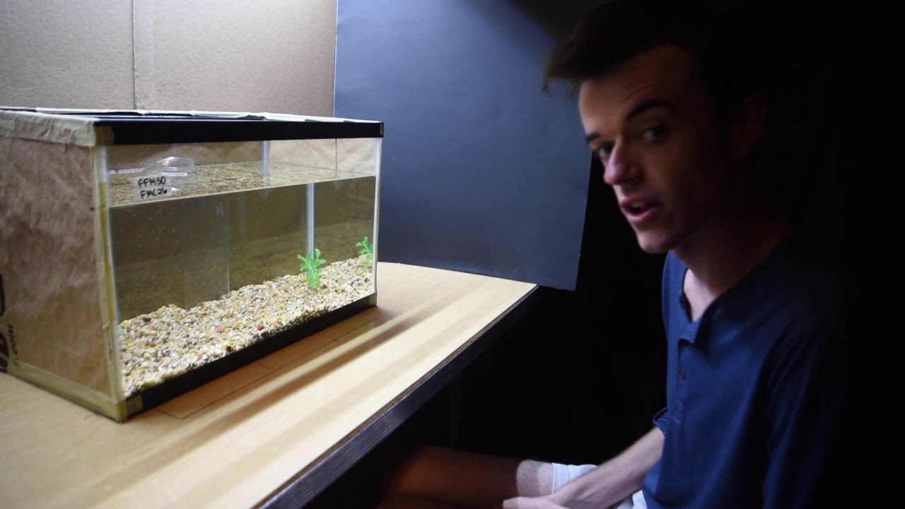 Students discuss research in Biological Sciences at Cal Poly College of ...