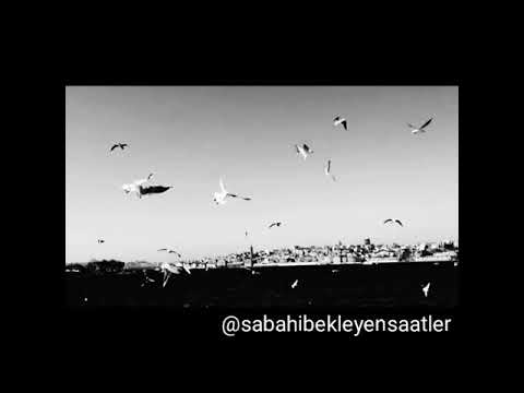 Filiz Eylül APAYDIN KARAMAN: \